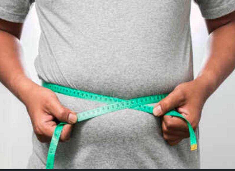 Nutritionist | Dn. Adeena Ali